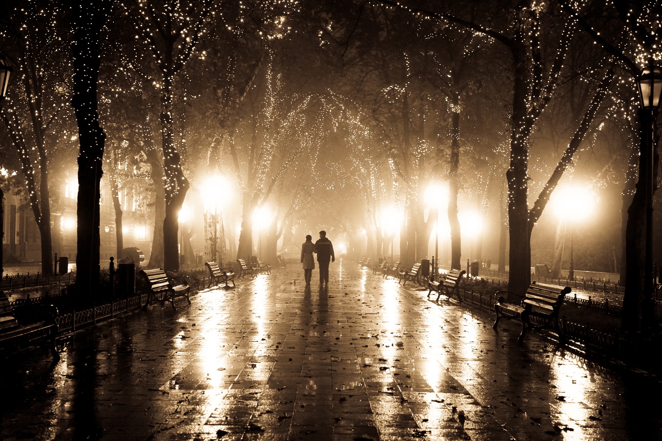 Loving Fiercely - David Karchere