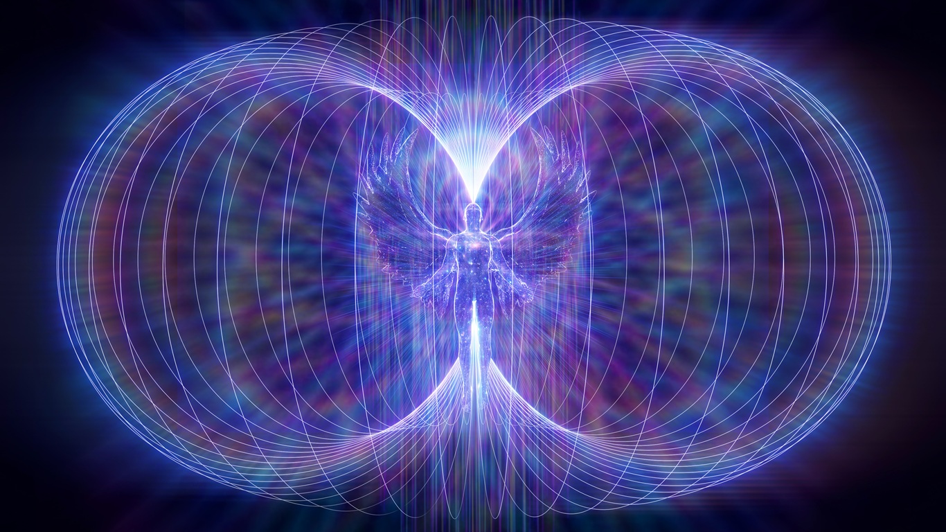 The Embodied Torus - David Karchere